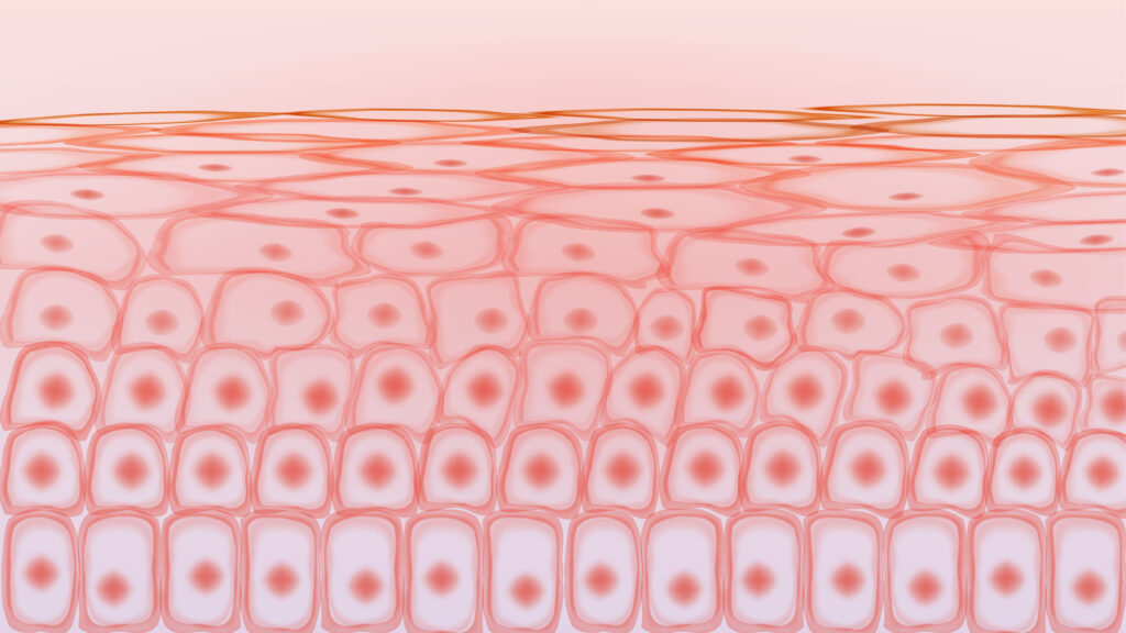 Synthetic Emulsifiers: Is There an Alternative?