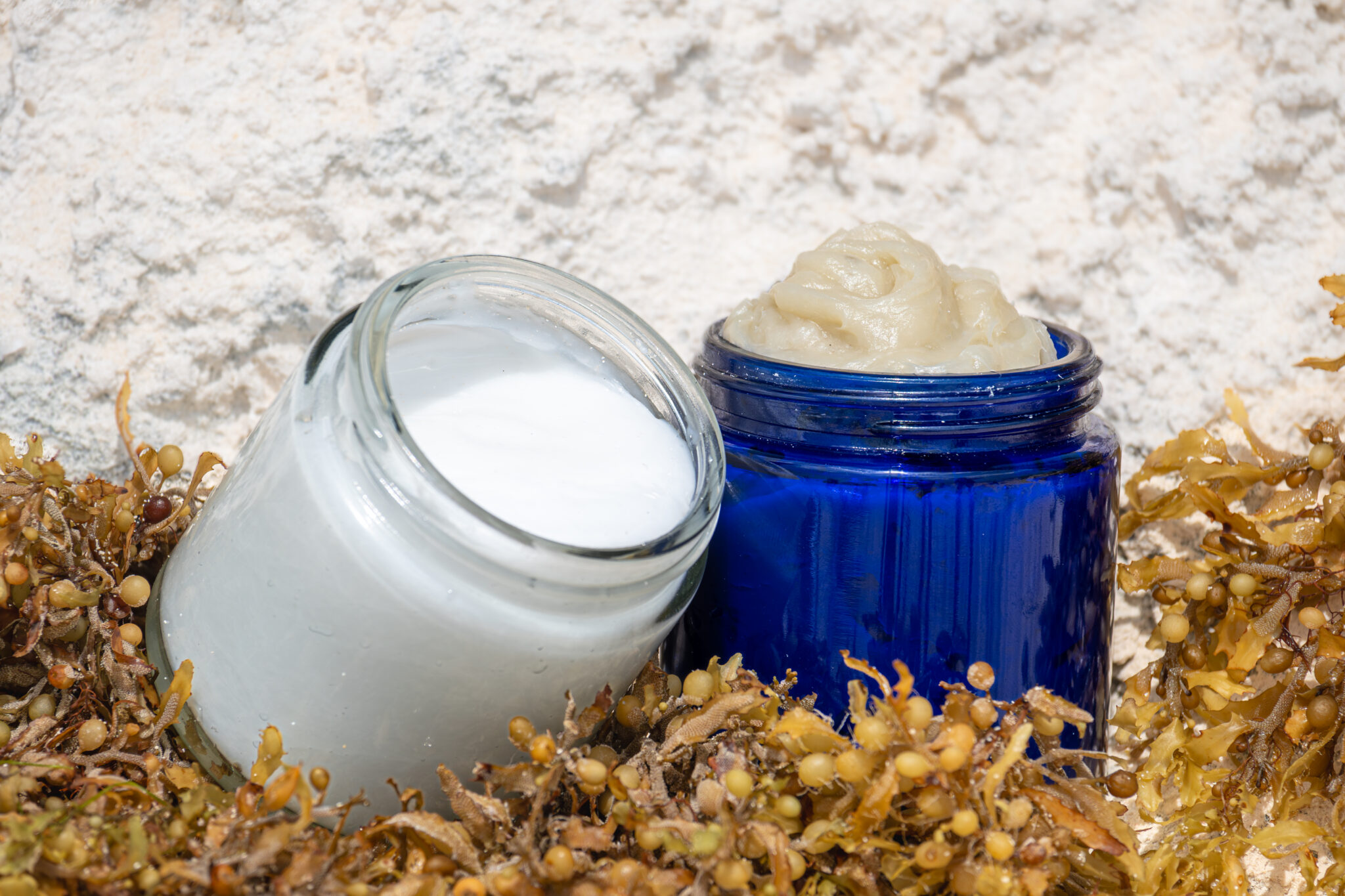 Pickering Emulsions vs Traditional Emulsions - SeaBalance